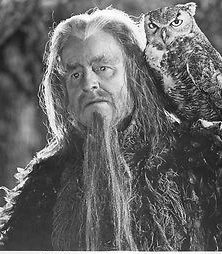 Merlin | Warner Bros characters Wiki | Fandom