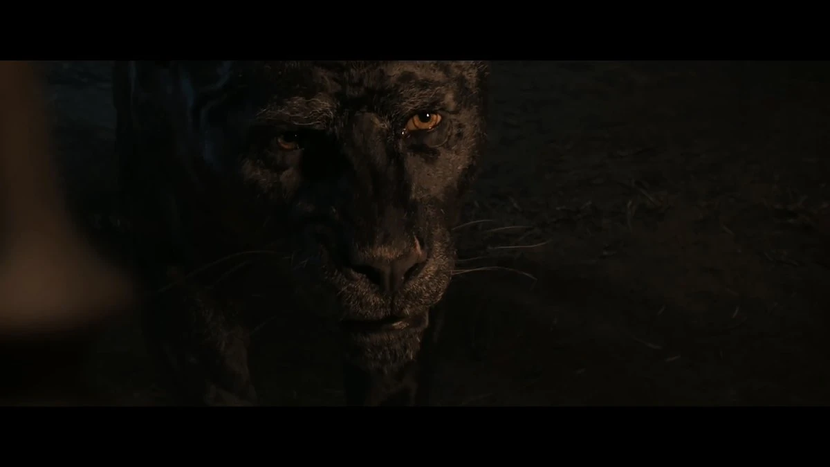 Bagheera | Warner Bros characters Wiki | Fandom