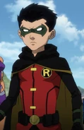 Robin | Warner Bros characters Wiki | Fandom