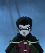Robin | Warner Bros characters Wiki | Fandom
