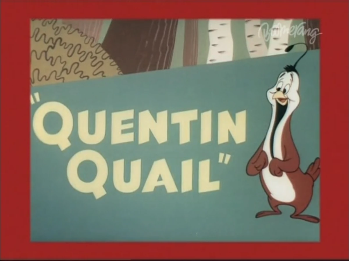 Quentin Quail | Warner Bros. Entertainment Wiki | Fandom