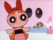 Cat Man Do/Gallery | Warner Bros. Entertainment Wiki | Fandom