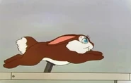 Honey Bunny | Warner Bros. Entertainment Wiki | Fandom