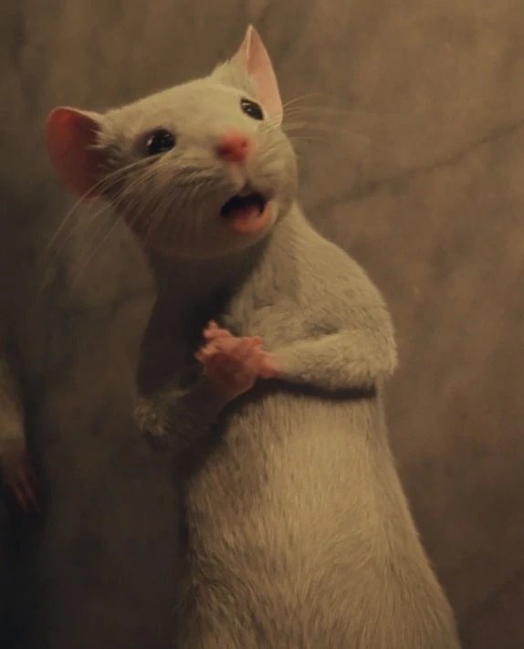 Daisy (The Witches) | Warner Bros. Entertainment Wiki | Fandom