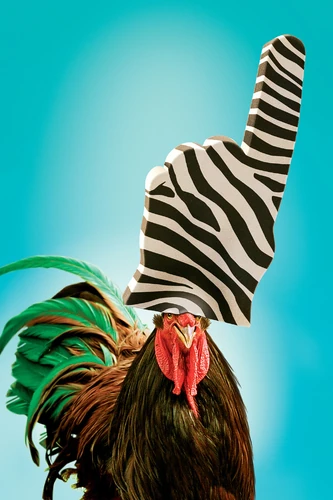 Reggie | Warner Bros. Entertainment Wiki | Fandom