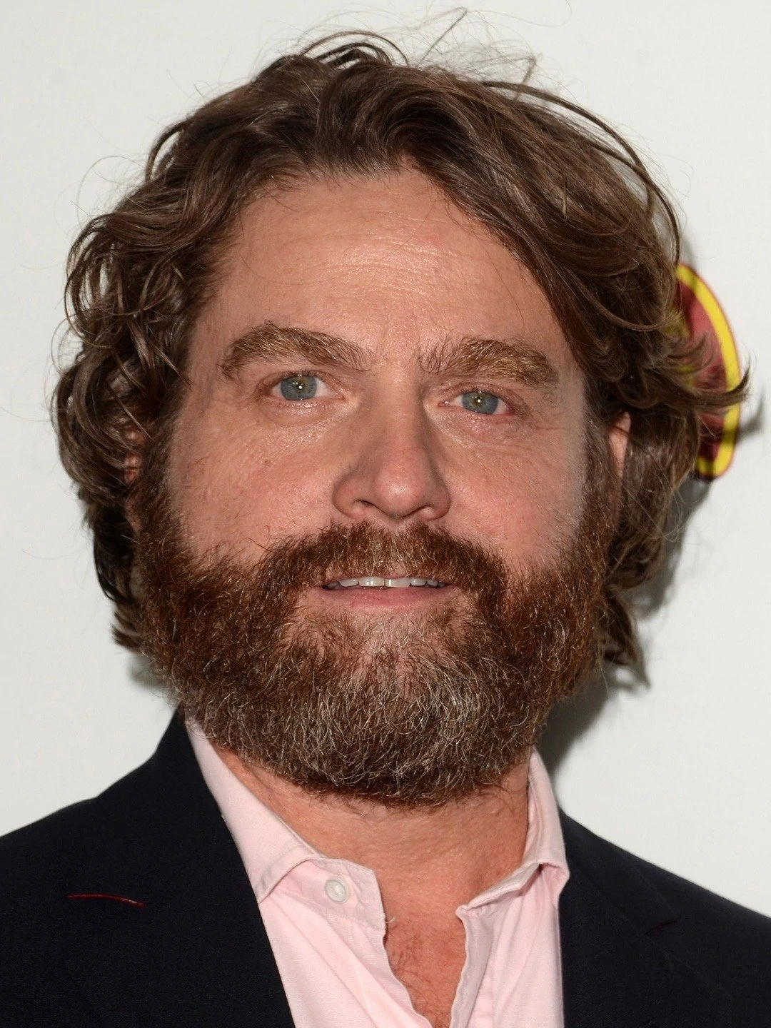 Zach Galifianakis | Warner Bros. Entertainment Wiki | Fandom