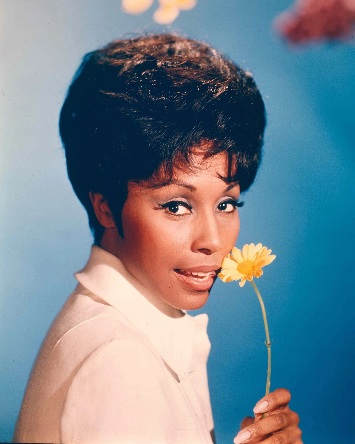 Diahann Carroll | Warner Bros. Entertainment Wiki | Fandom
