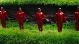 Oompa-Loompas | Warner Bros. Entertainment Wiki | Fandom