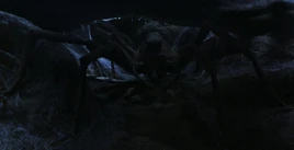 Aragog | Warner Bros. Entertainment Wiki | Fandom