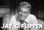 Jay C. Flippen | Warner Bros. Entertainment Wiki | Fandom