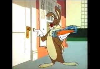 Casbah Rabbit | Warner Bros. Entertainment Wiki | Fandom