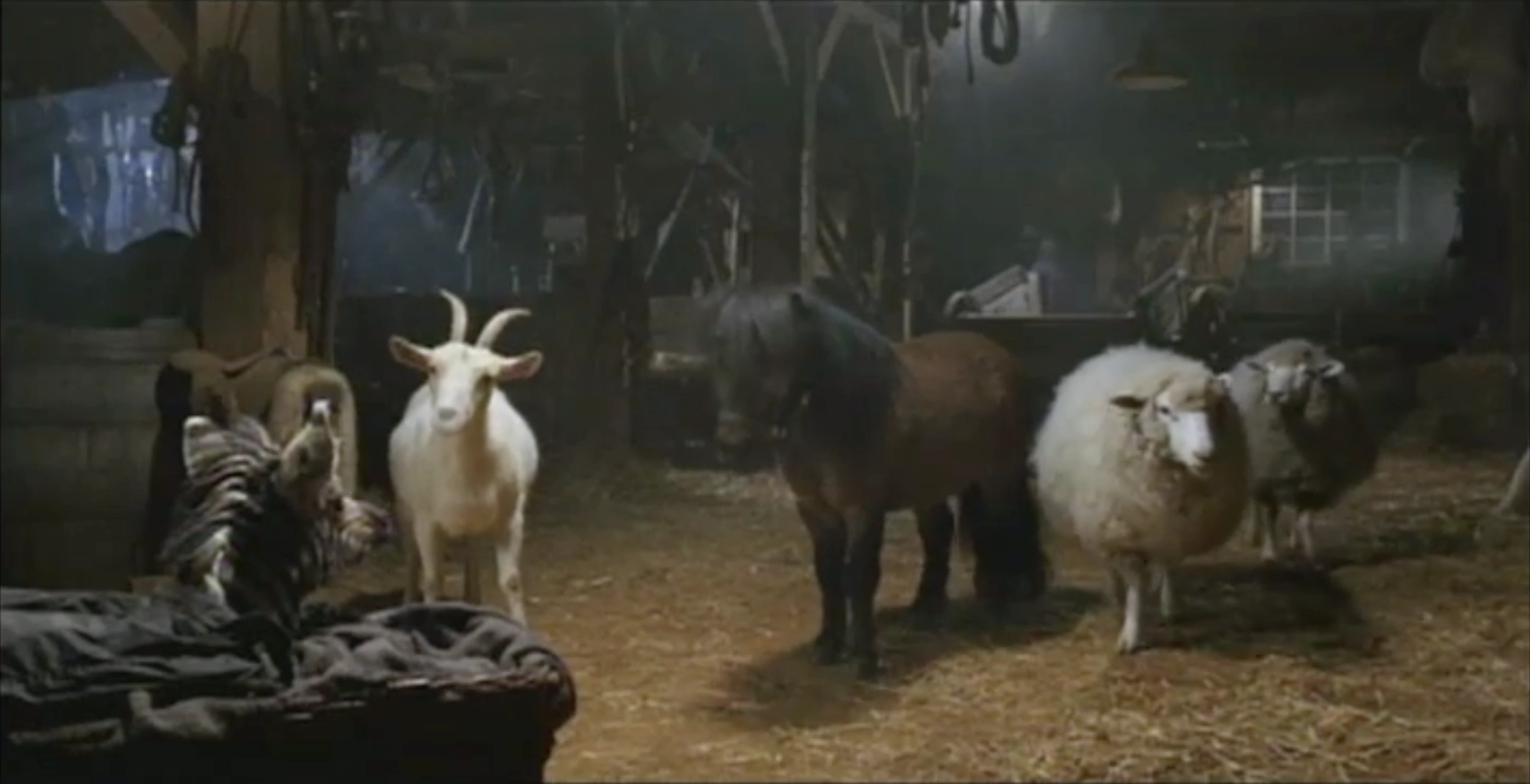 Category:Racing Stripes galleries - Warner Bros. Entertainment Wiki