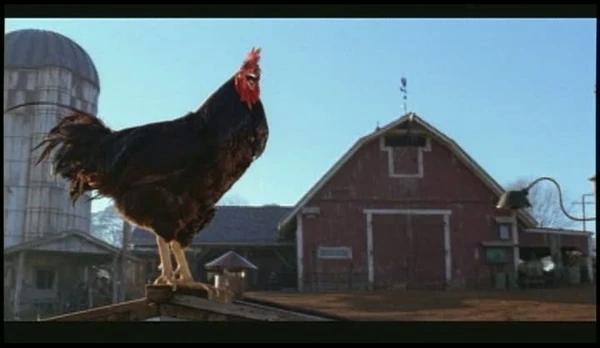 Category:Racing Stripes locations | Warner Bros. Entertainment Wiki ...