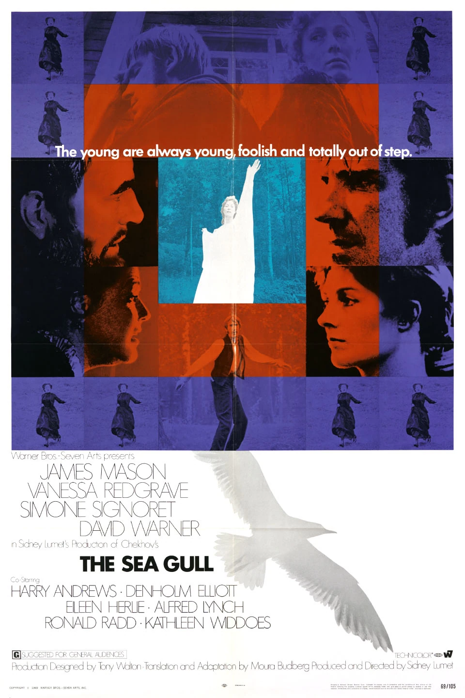 The Sea Gull | Warner Bros. Entertainment Wiki | Fandom