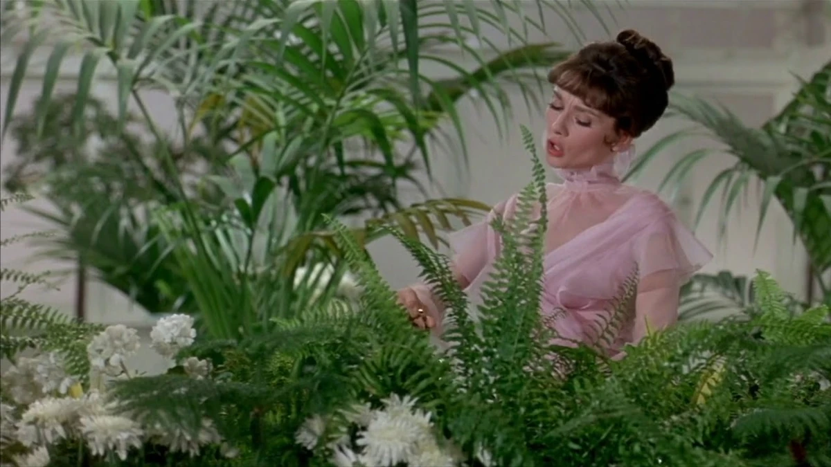 Without You | Warner Bros. Entertainment Wiki | Fandom