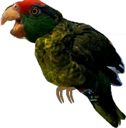 Parrot (Deep Blue Sea) | Warner Bros. Entertainment Wiki | Fandom