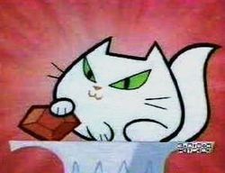 White Kitty | Warner Bros. Entertainment Wiki | Fandom