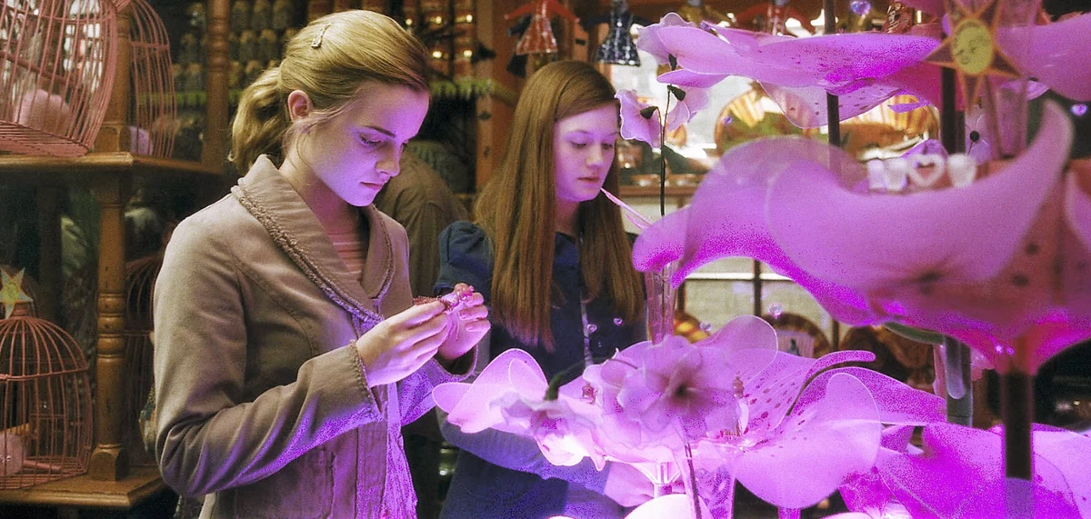 Love Potion | Warner Bros. Entertainment Wiki | Fandom