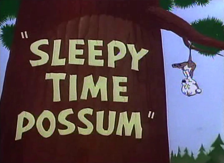 Sleepy Time Possum | Warner Bros. Entertainment Wiki | Fandom