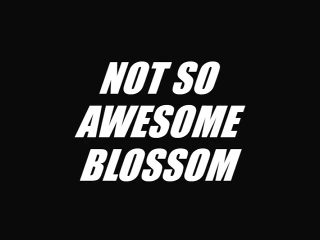 Not So Awesome Blossom/Gallery | Warner Bros. Entertainment Wiki | Fandom