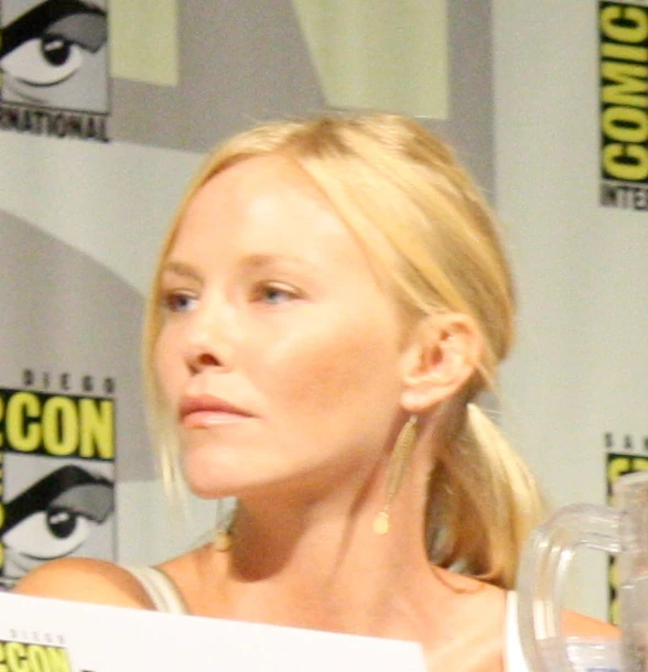 Kelli Giddish | Warner Bros. Entertainment Wiki | Fandom