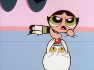 Cat Man Do/Gallery | Warner Bros. Entertainment Wiki | Fandom