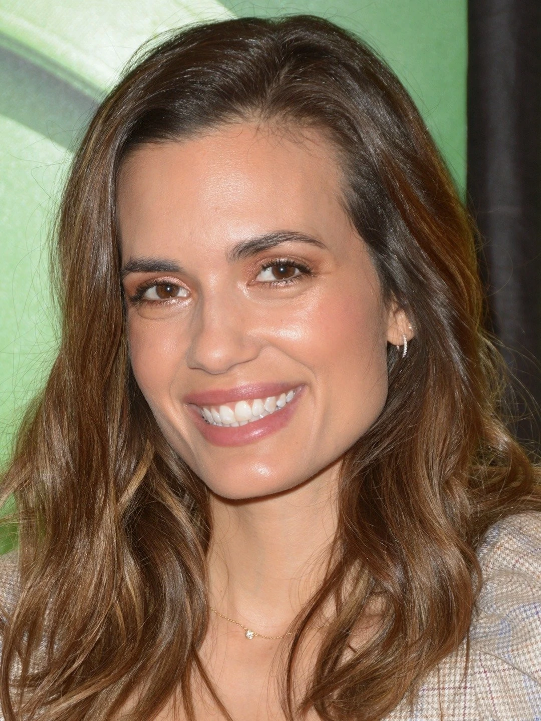 Torrey DeVitto | Warner Bros. Entertainment Wiki | Fandom
