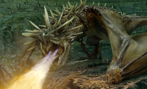 The Hungarian Horntail | Warner Bros. Entertainment Wiki | Fandom
