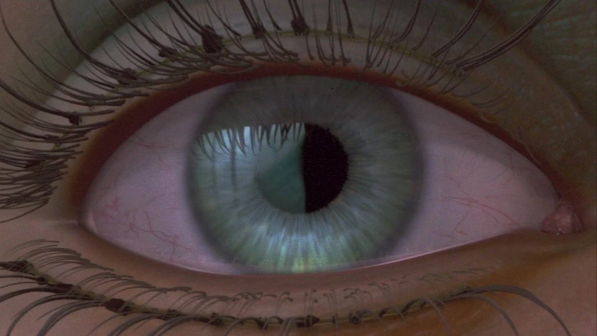 Shane's Eye | Warner Bros. Entertainment Wiki | Fandom