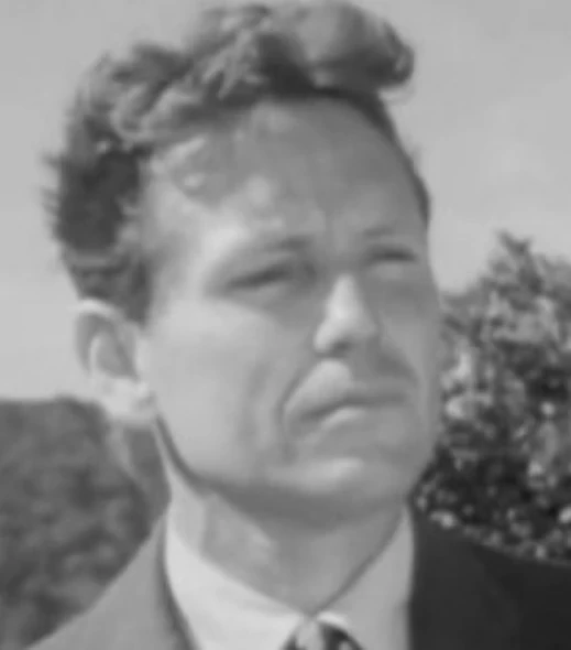 Tom Holland (voice actor) | Warner Bros. Entertainment Wiki | Fandom