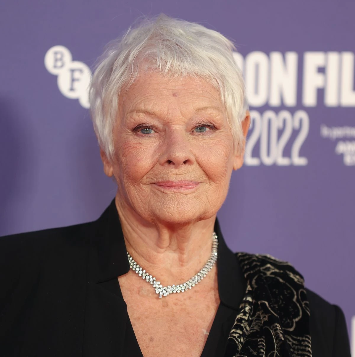 Judi Dench | Warner Bros. Studios, Leavesden Wiki | Fandom