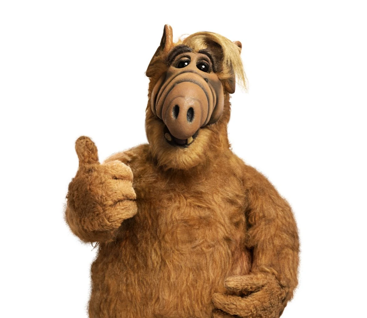 ALF (Alien Life Form) | Warner Parks Wiki | Fandom