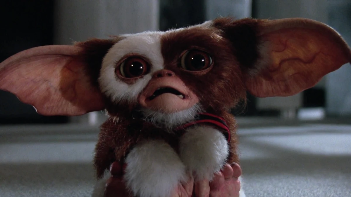 Gizmo | Warner Parks Wiki | Fandom