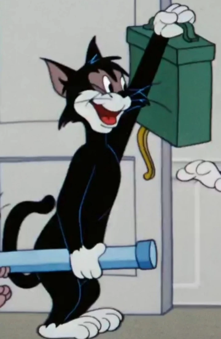 Butch Cat | Warner Bros Wiki | Fandom