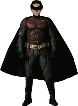 Robin | Warner Bros Fanon Wiki | Fandom