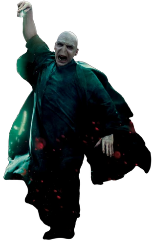 Lord Voldemort | Warner Bros Fanon Wiki | Fandom