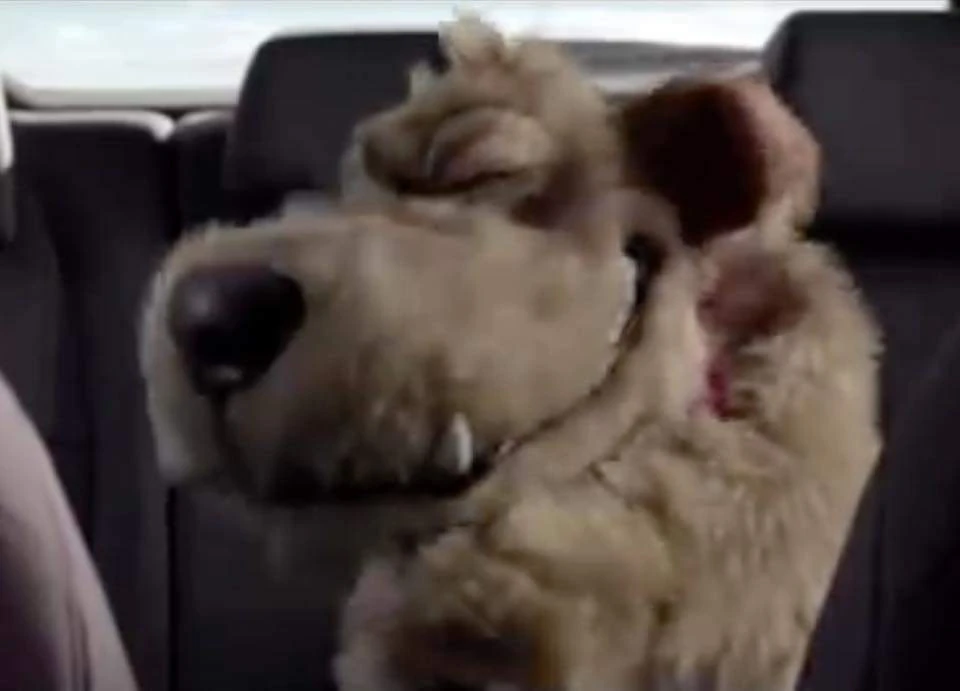 Muttley | Warner Bros Fanon Wiki | Fandom