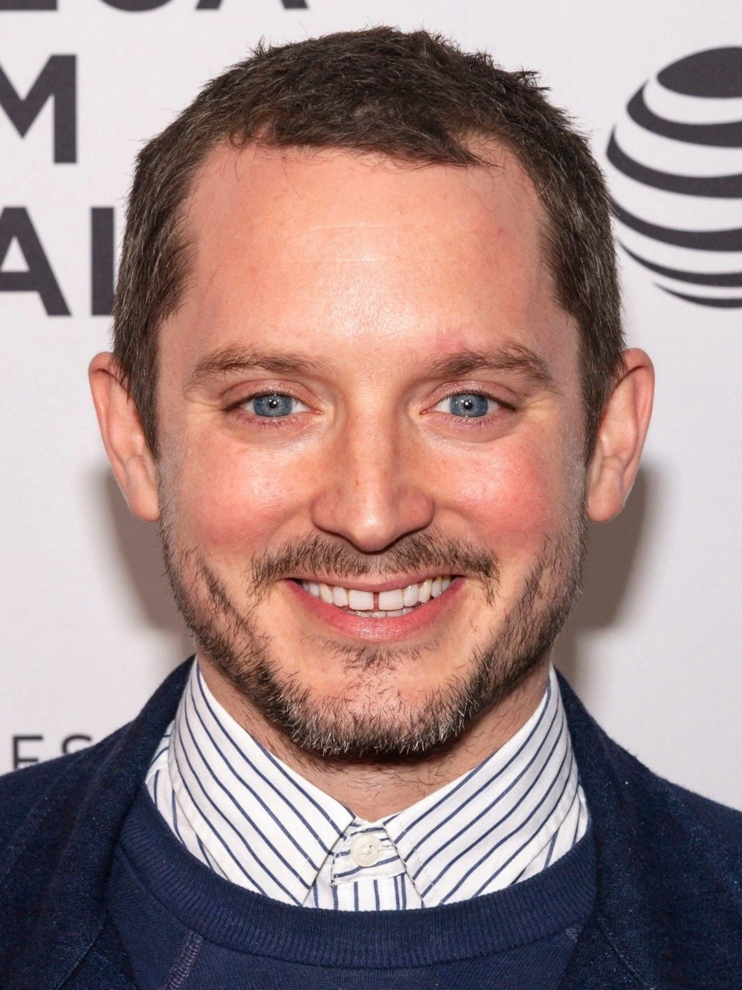 Elijah Wood | Warner Bros Fanon Wiki | Fandom