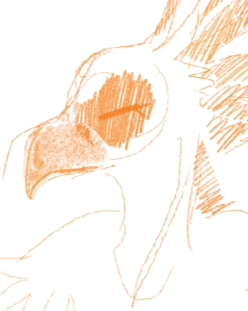 Iniku Worknesh | Warningpendehos Wiki | Fandom