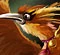 Bifang | War of Legends Wiki | Fandom