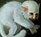 White Ape | War of Legends Wiki | Fandom