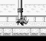 Zinger (DKC2 and DKL2) | War of the Whiskers Wiki | Fandom