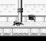 Spiny | War of the Whiskers Wiki | Fandom