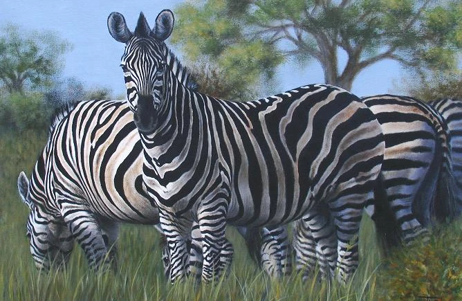 Zebra | War of the Whiskers Wiki | Fandom