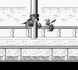 Zinger (DKC2 and DKL2) | War of the Whiskers Wiki | Fandom