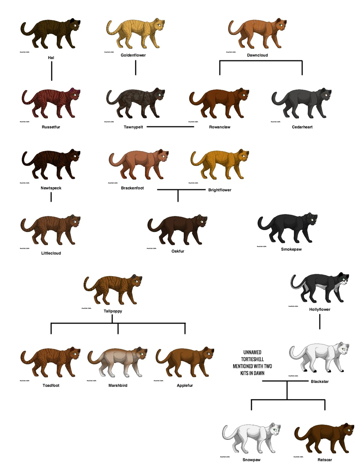 SCSunset Kin Map | AUWarriors Wikia | Fandom