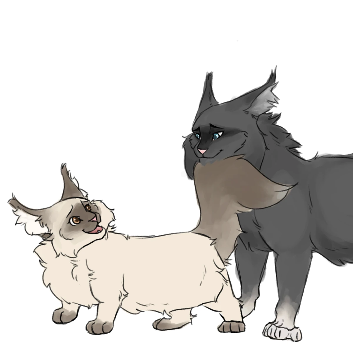 Gojo | Warrior Cat Club Wiki | Fandom