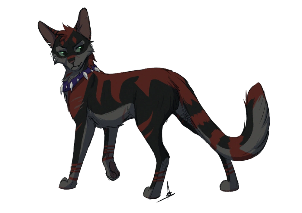 Ripper | Warrior Cat Club Wiki | Fandom