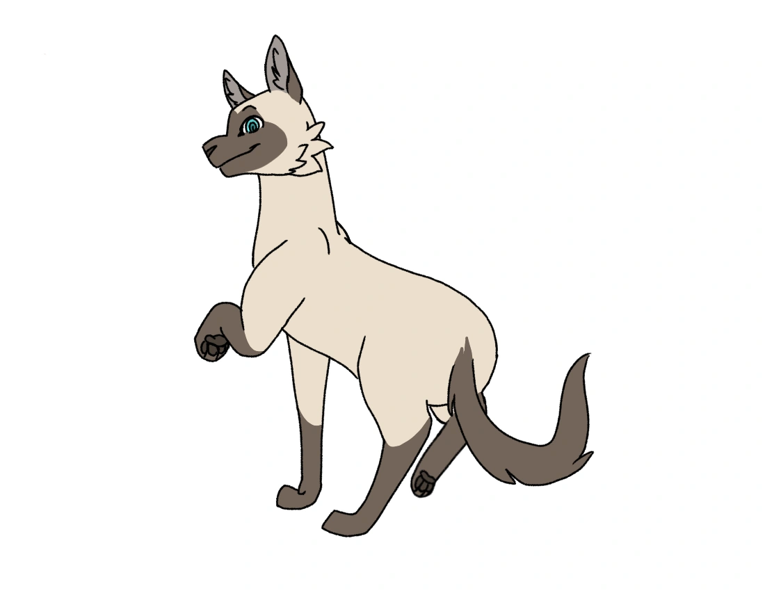 Timestar | Warrior Cat Club Wiki | Fandom