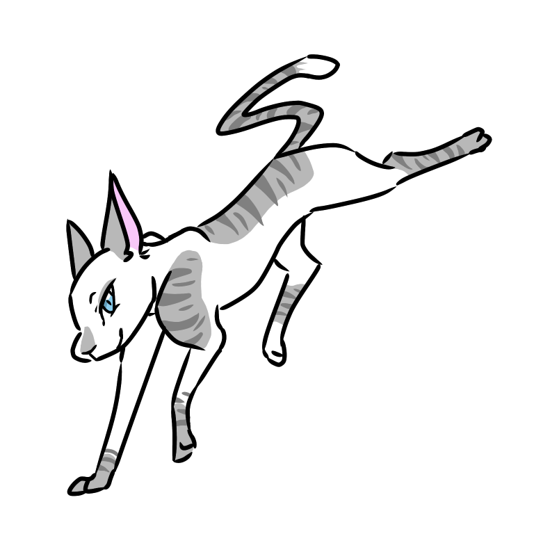 Silentpaw (M/D) | Warrior Cat Club Wiki | Fandom